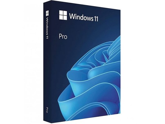 Microsoft Windows 11 Pro 64-bit, USB, Retail Licence - HAV-00163 | CCL